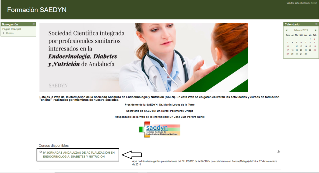 Web de Teleformación de la SAEDYN - SAEDYN