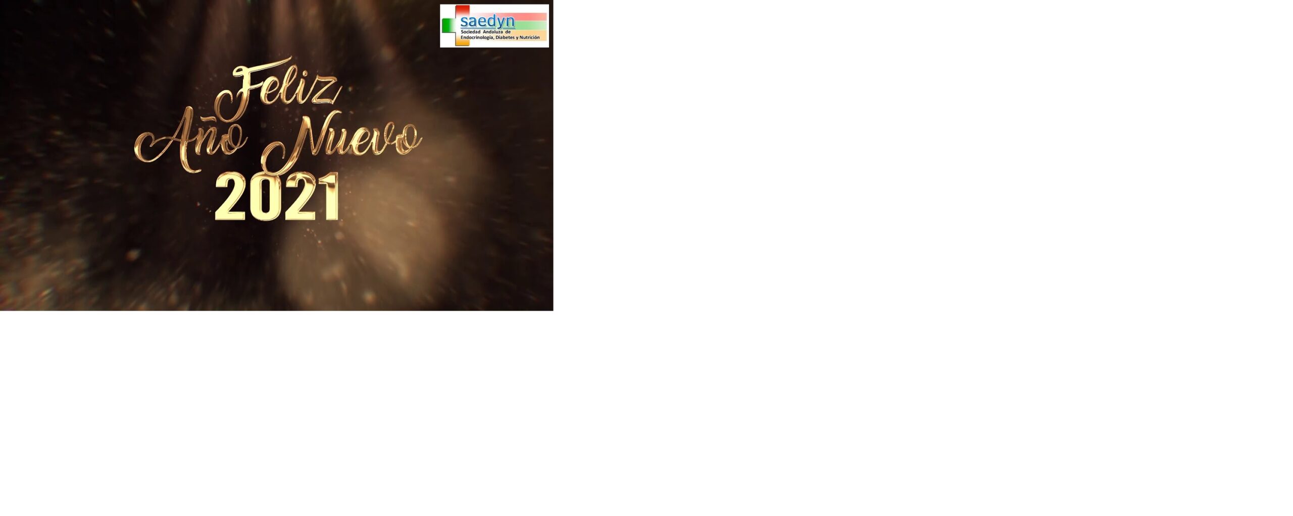 feliz 2021 SAEDYN - SAEDYN
