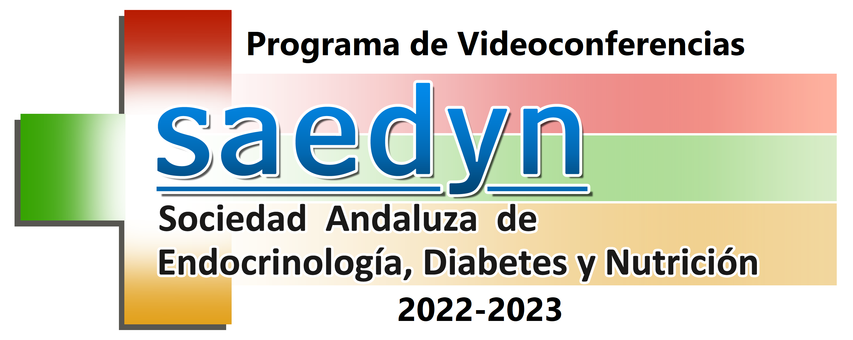 Programas Video-Conferencias SAEDYN 2022-2023 - SAEDYN