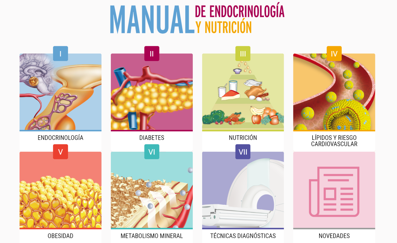 Actualización del Manual SEEN - SAEDYN