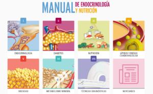 Actualización del Manual SEEN - SAEDYN