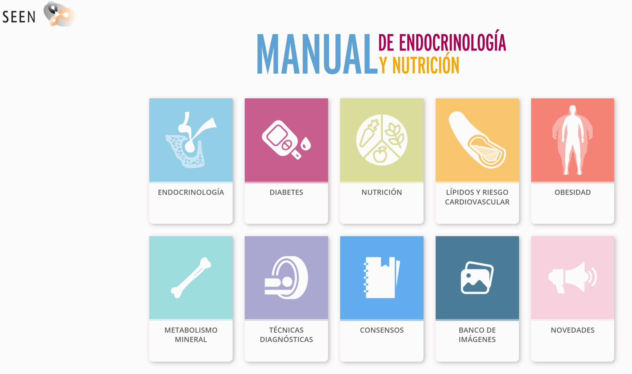 Manual SEEN 2025 - SAEDYN